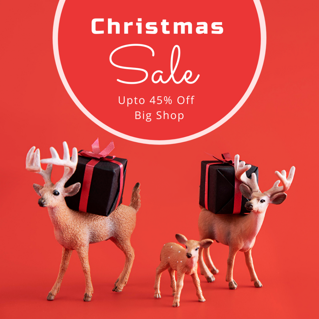 Make this Christmas Magical with Exciting Offers