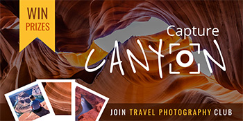 Free Online Twitter Post Maker: Create a Custom Twitter Post with DocHipo