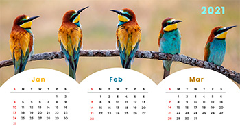 Free Online Calendar Maker: Create a Custom Calendar with DocHipo