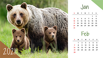 Free Online Calendar Maker: Create a Custom Calendar with DocHipo