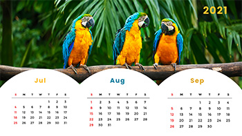 Free Online Calendar Maker: Create a Custom Calendar with DocHipo
