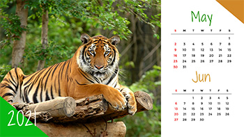 Free Online Calendar Maker: Create a Custom Calendar with DocHipo