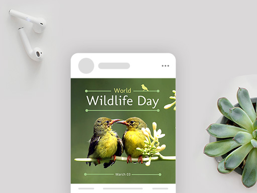 Free Wildlife Square Post Templates - Customize and Download | DocHipo